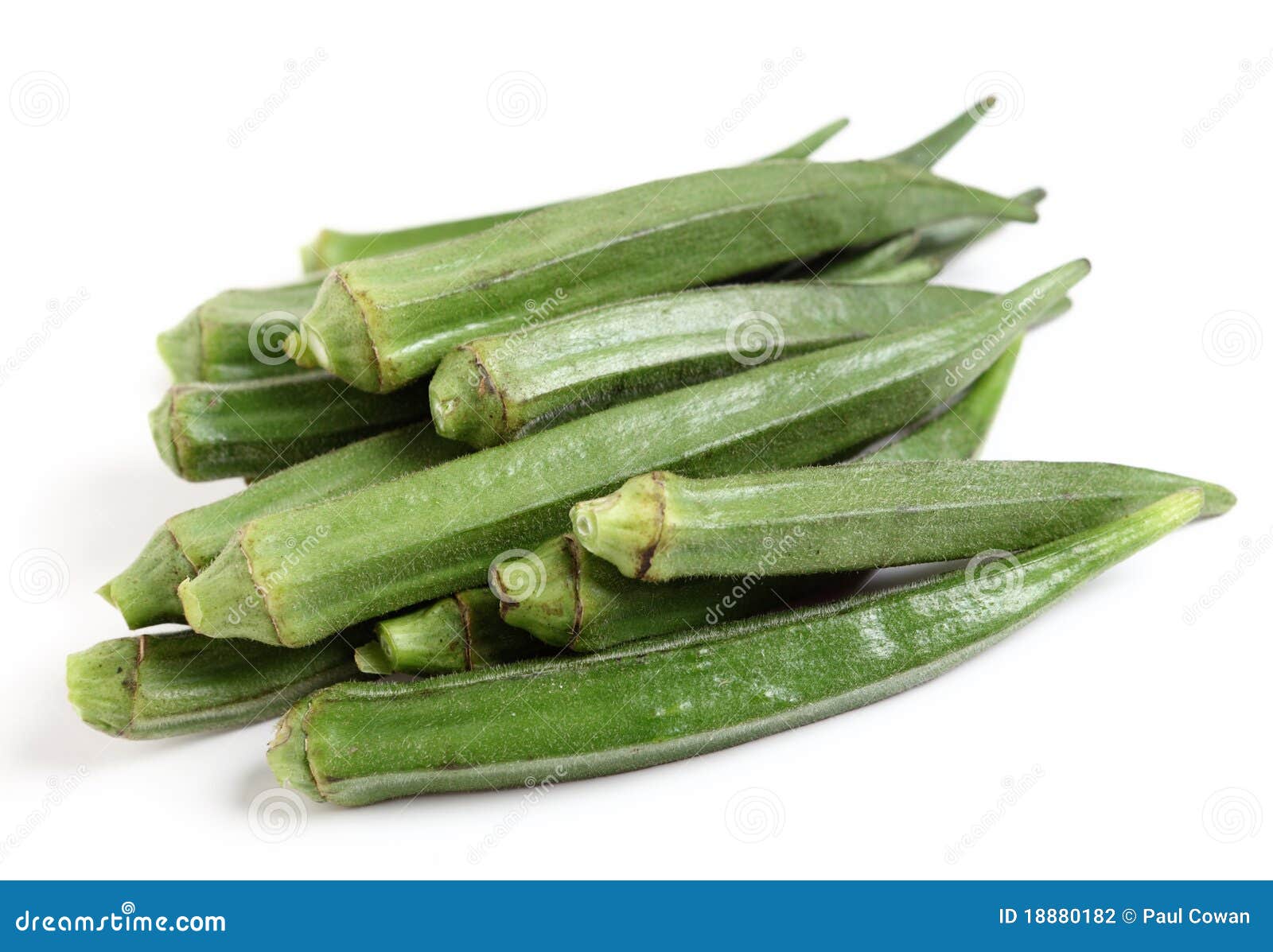 Gombo photo stock. Image du tropical, personne, blanc - 18880182