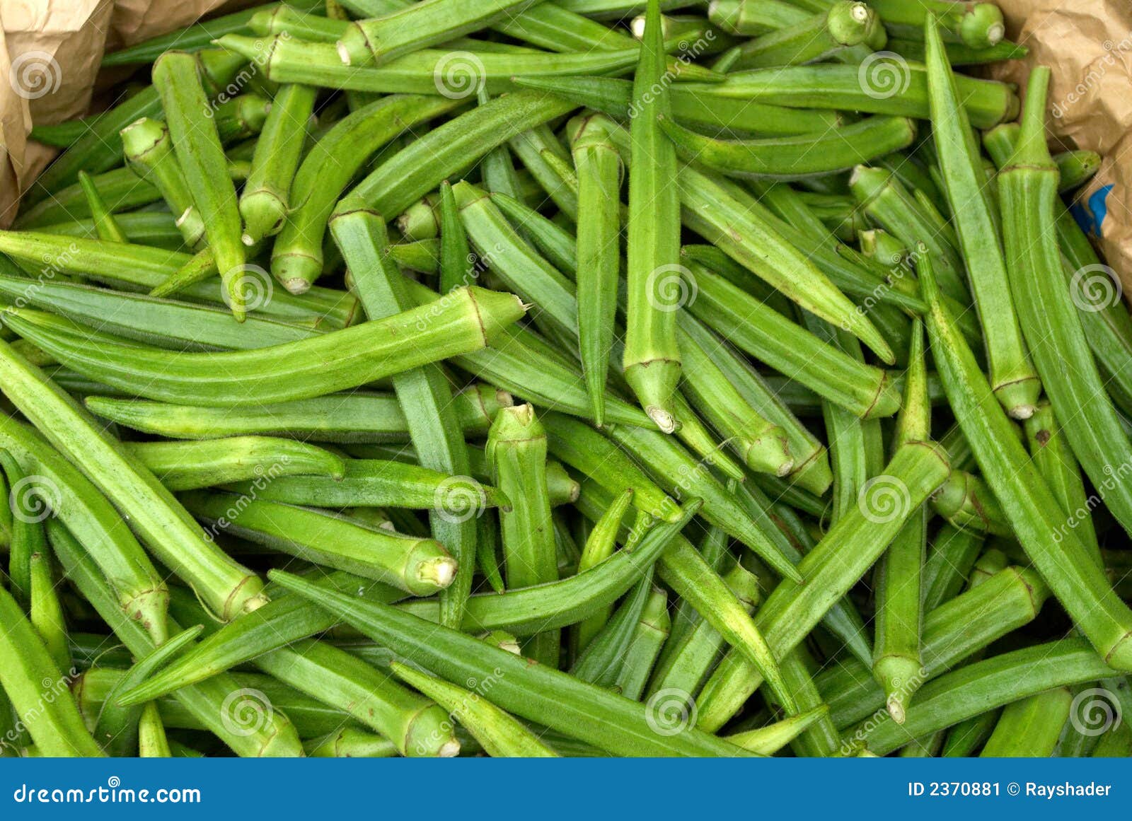 Gombo image stock. Image du normal, centrale, moisson - 2370881