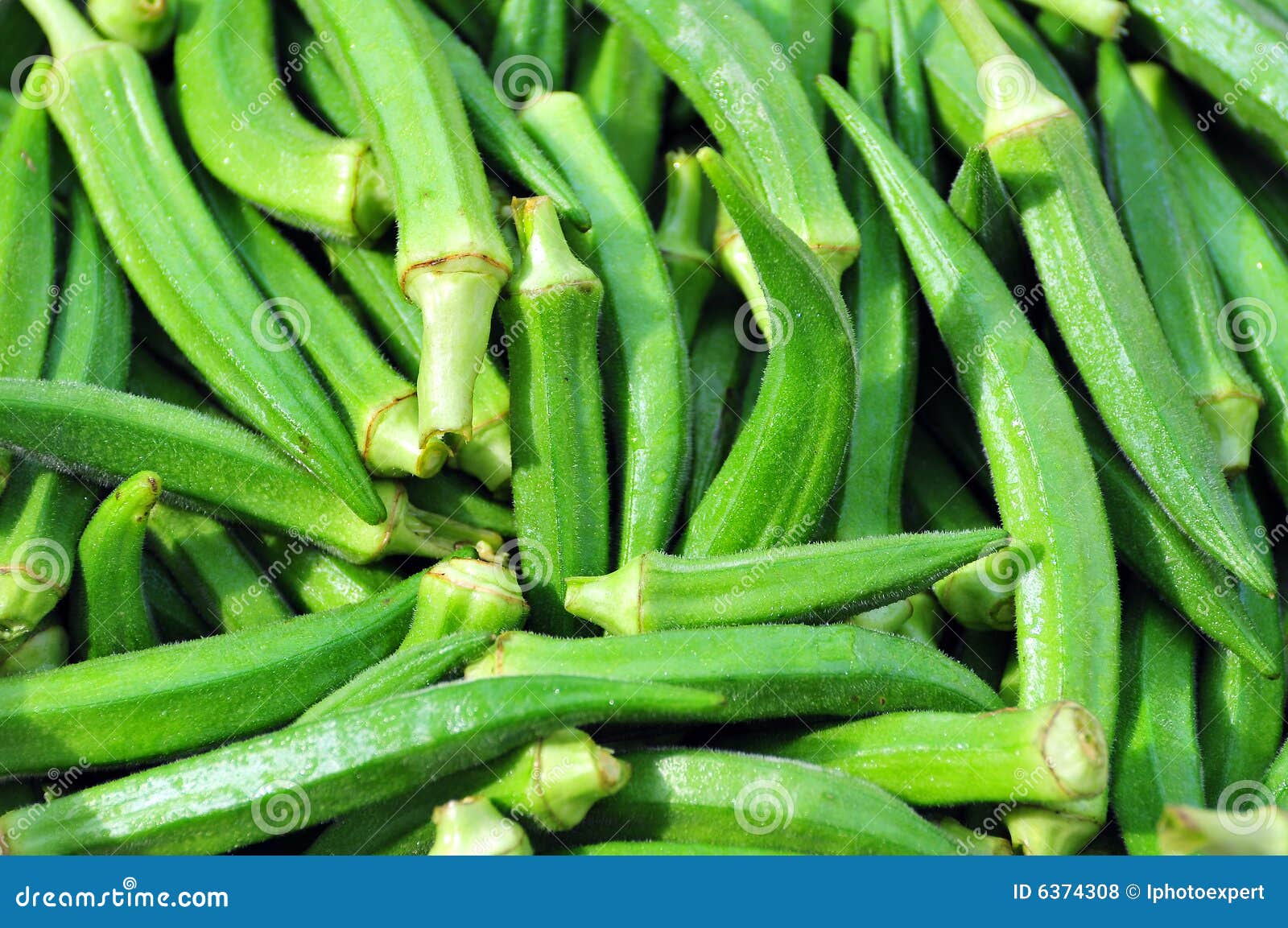 Gombo photo stock. Image du exotic, pods, creole, cooking - 6374308