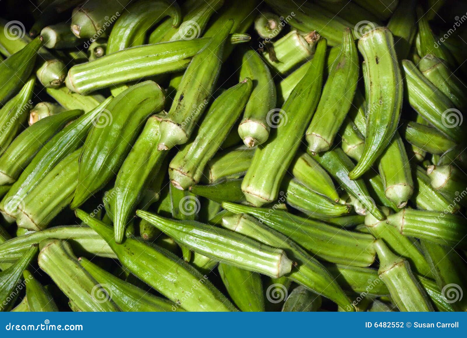 Gombo photo stock. Image du cuisinier, vert, gombo, légume - 6482552