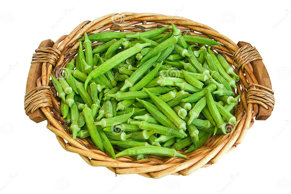 Gombo de gombo image stock. Image du végétarien, gombo - 10374471