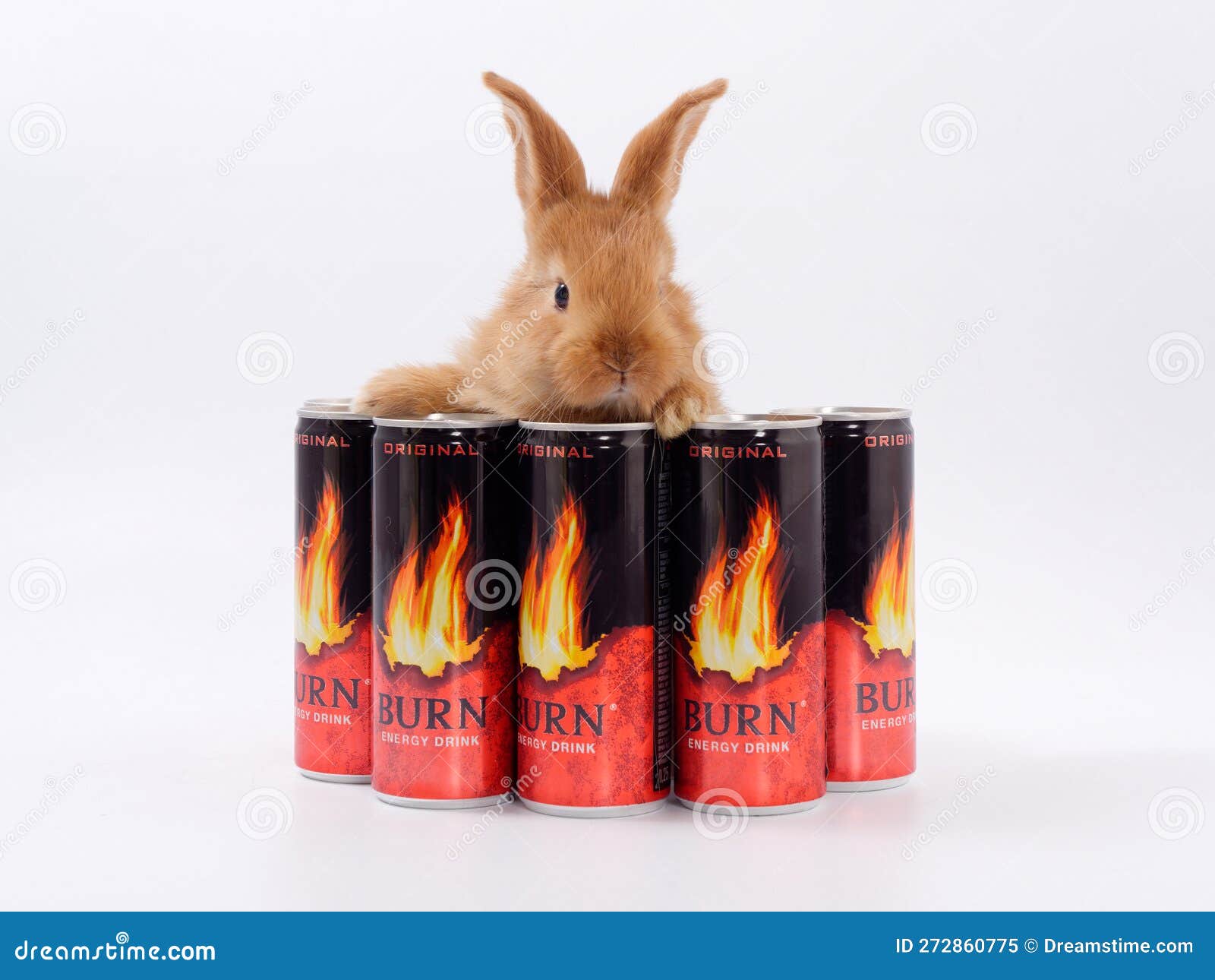 Gomel, BELARUS - March 23, 2023: Rabbit Symbol of the Year and Energy ...