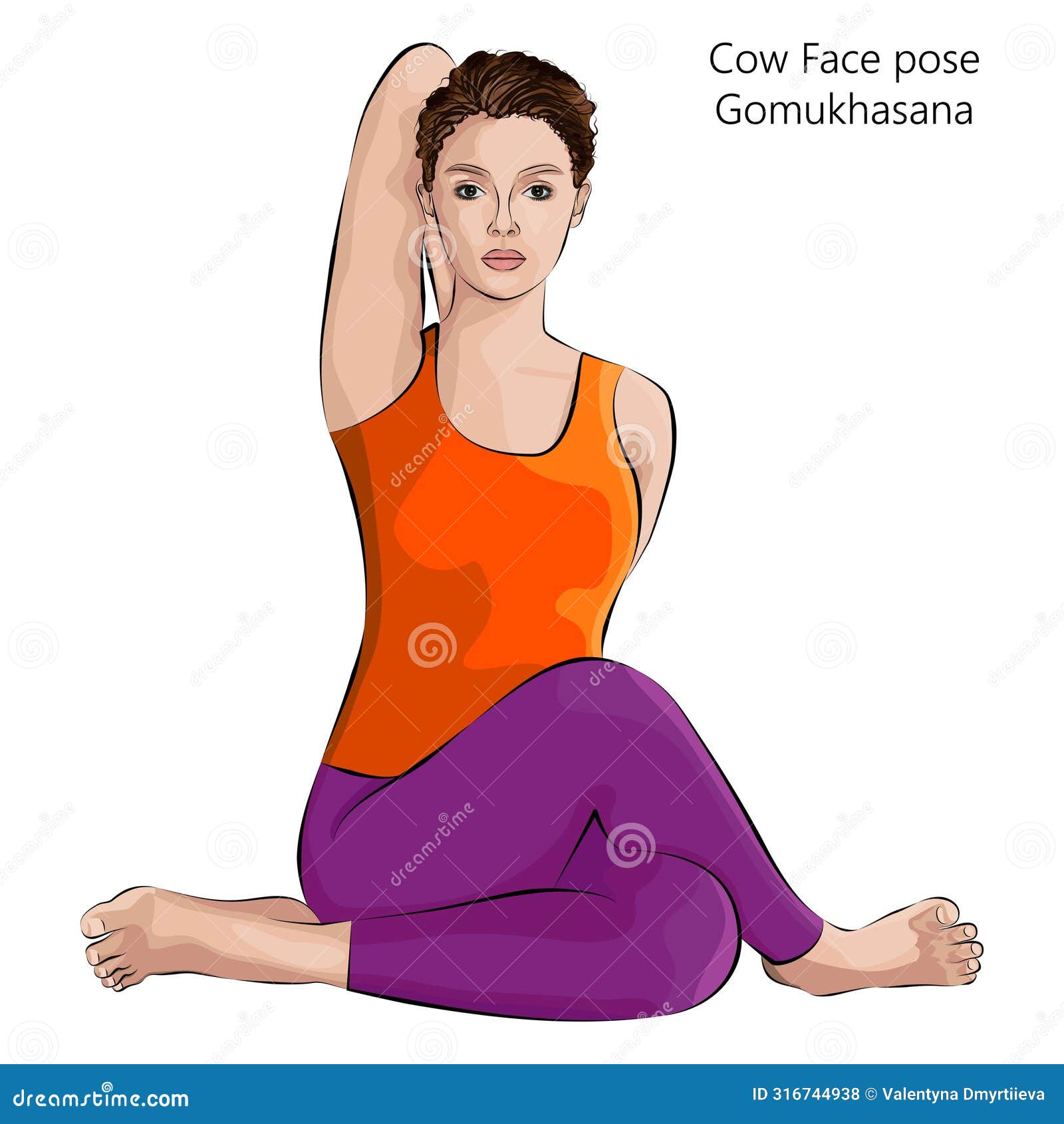 Gomukhasana Cow Pose Color Line Illustration. Pictogram For Web Page ...