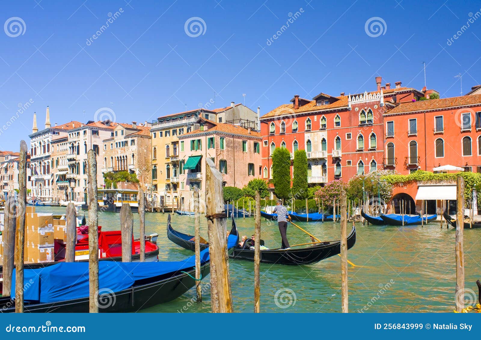 Gondolas Along Grand Canal At St Marco Square With Basilica Of S