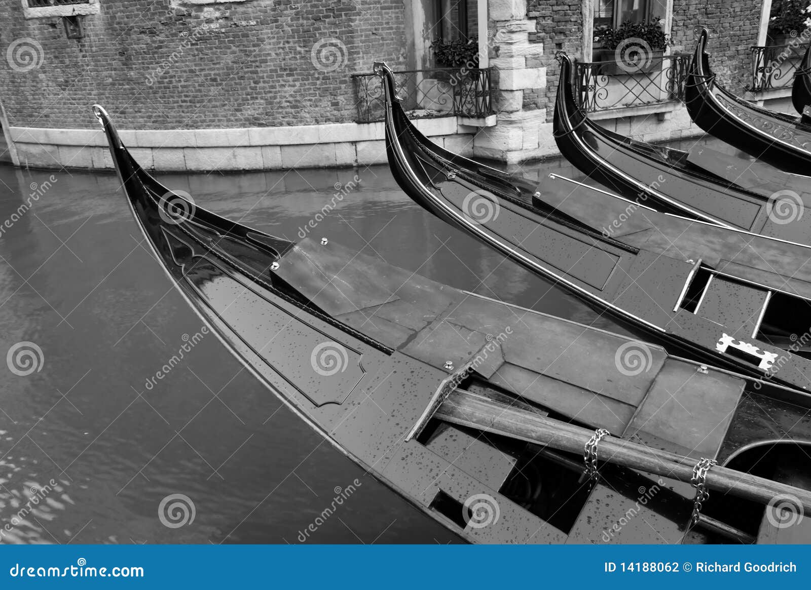 Gondolas at Dawn (Black and White) Venice, Italy Stock Photo - Image of ...