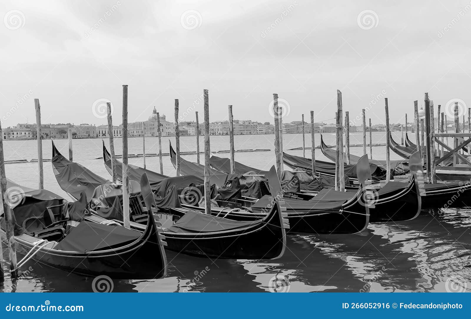 Gondolas Typical Boat of Venice in Italy Moored in Black and White ...