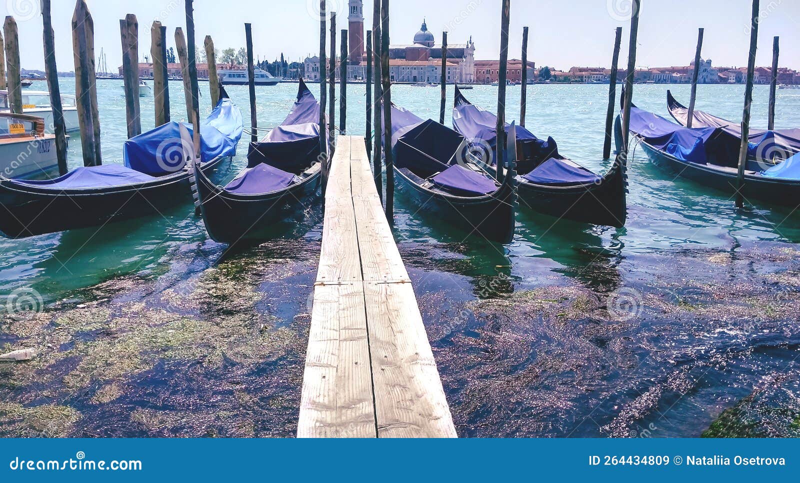 Gondolas in Venice. the Problem of Pollution of the Ecosystem. Close-up ...