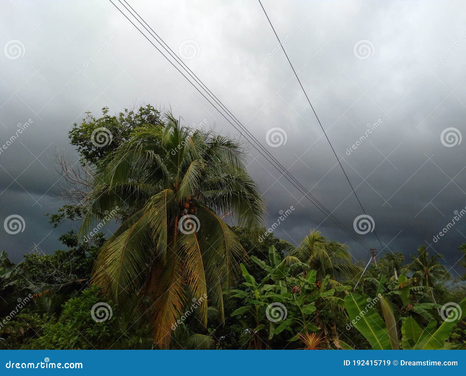 Gonna be rain soon yes . stock image. Image of green - 192415719