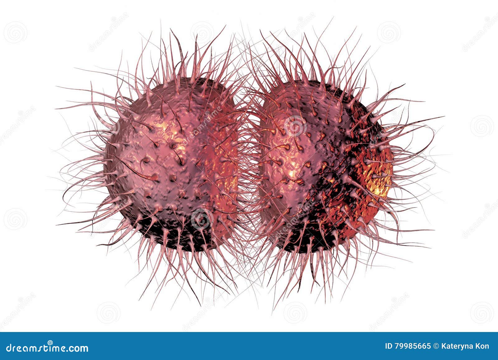 Gonococco O Meningococcus Dei Batteri Illustrazione di Stock ...