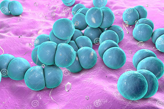 Gonococcus Ou Meningococcus Das Bactérias Ilustração Stock - Ilustração ...