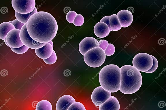 Gonococcus Ou Meningococcus Das Bactérias Ilustração Stock - Ilustração ...