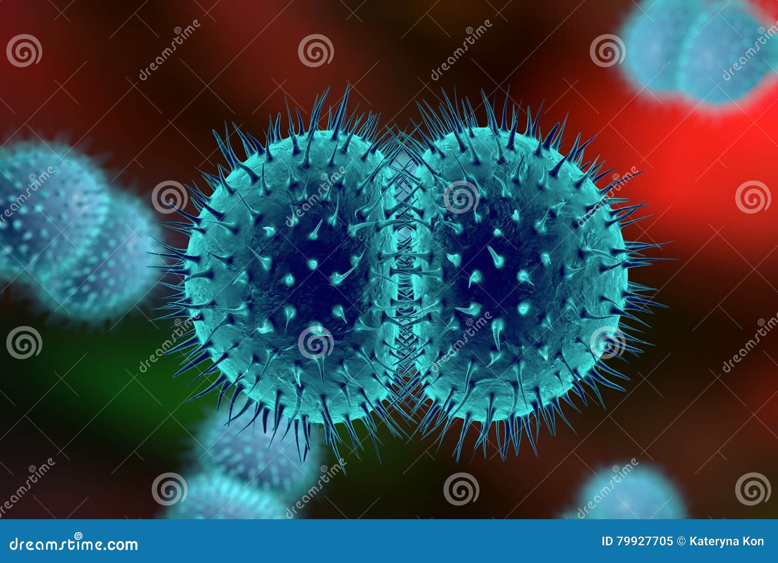 Gonococcus Ou Meningococcus Das Bactérias Ilustração Stock - Ilustração ...