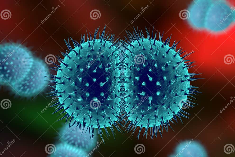Gonococcus Ou Meningococcus Das Bactérias Ilustração Stock - Ilustração ...