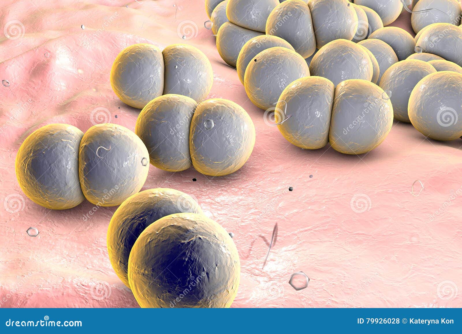 Gonococo O Meningococcus De Las Bacterias Stock de ilustración ...