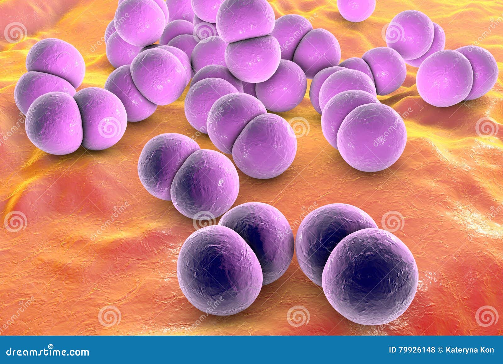 Gonococo O Meningococcus De Las Bacterias Stock de ilustración ...