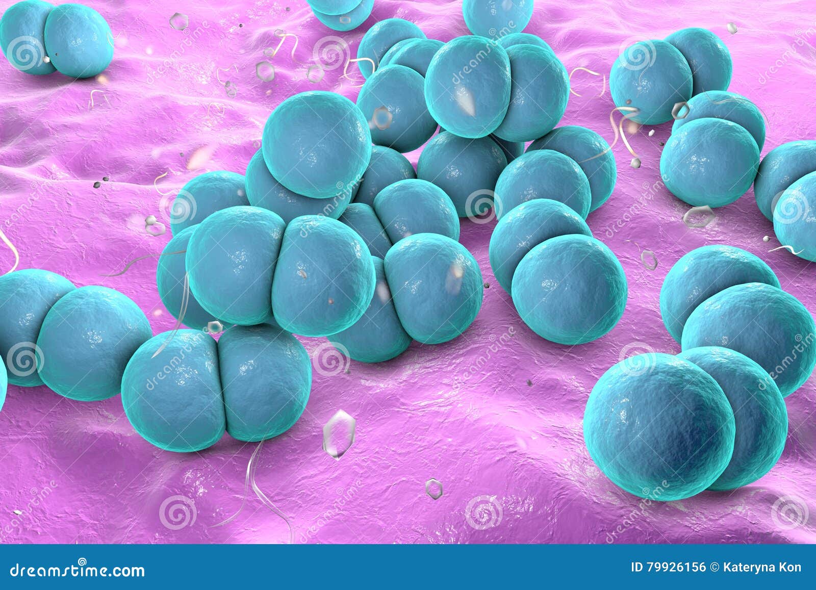 Gonococo O Meningococcus De Las Bacterias Stock de ilustración ...