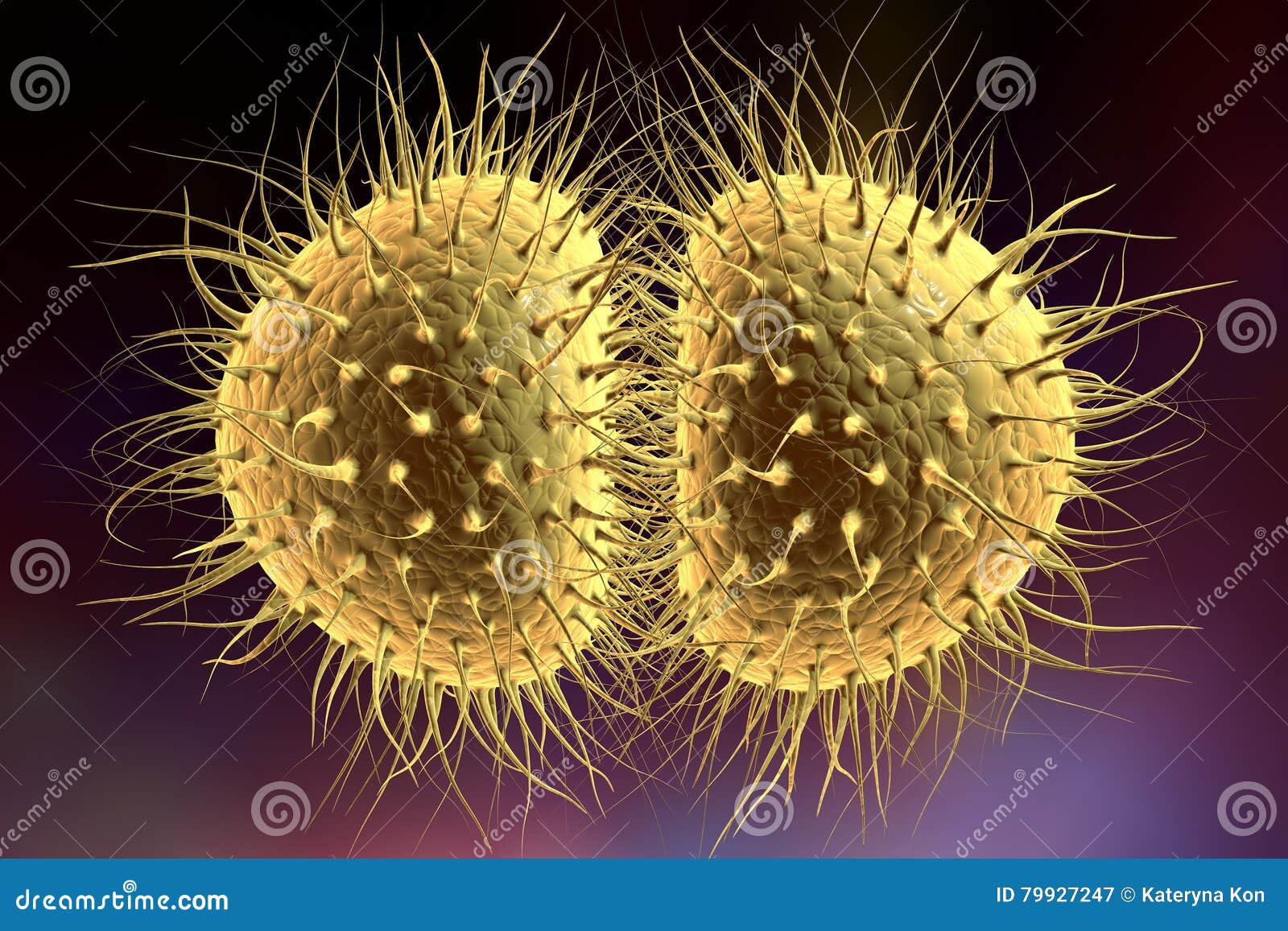 Gonococo O Meningococcus De Las Bacterias Stock de ilustración ...