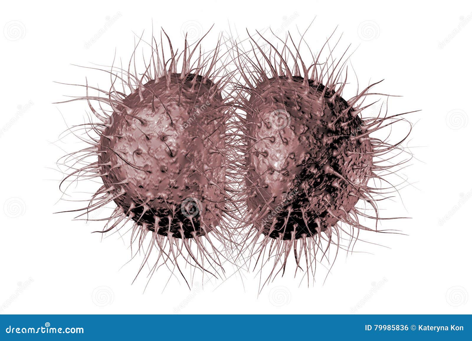 Gonococo O Meningococcus De Las Bacterias Stock de ilustración ...