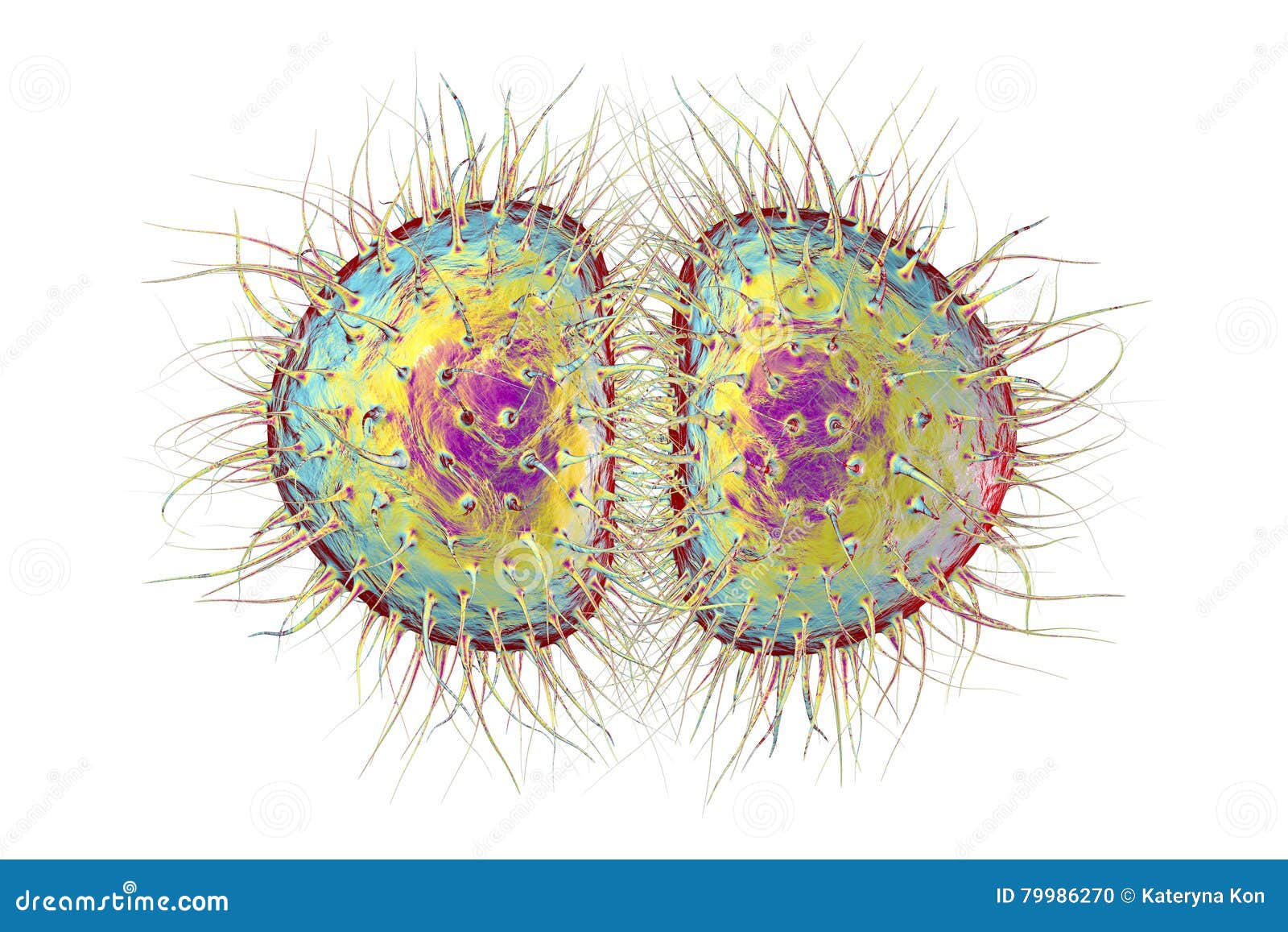 Gonococo O Meningococcus De Las Bacterias Stock de ilustración ...