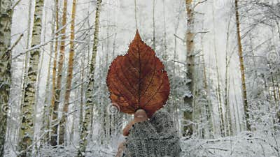 Good bye, autumn stock photo. Image of leaf, autumn, good - 66602260