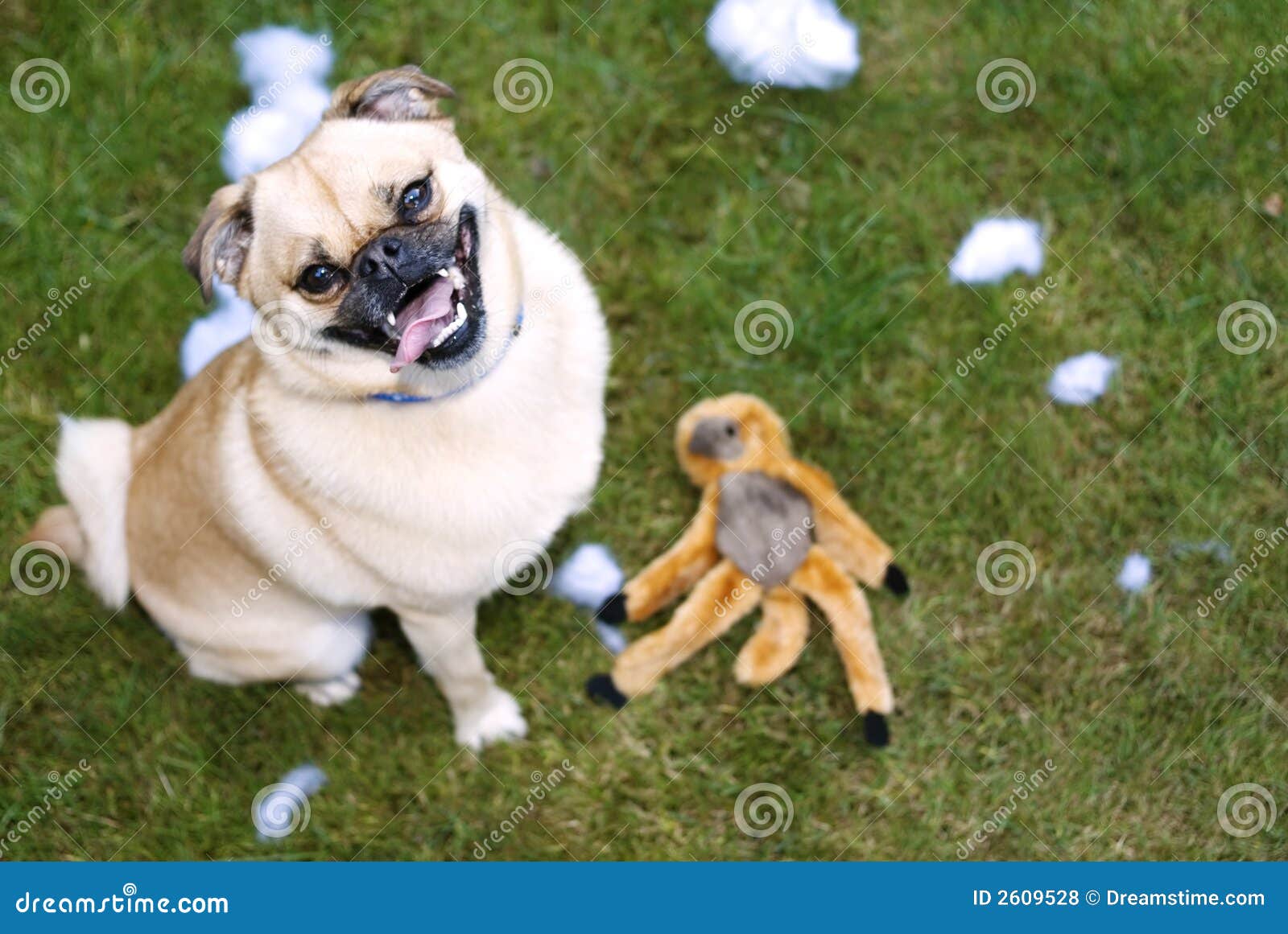 Bye Bye Monkey [1978] | New Movies - hitspiratebay