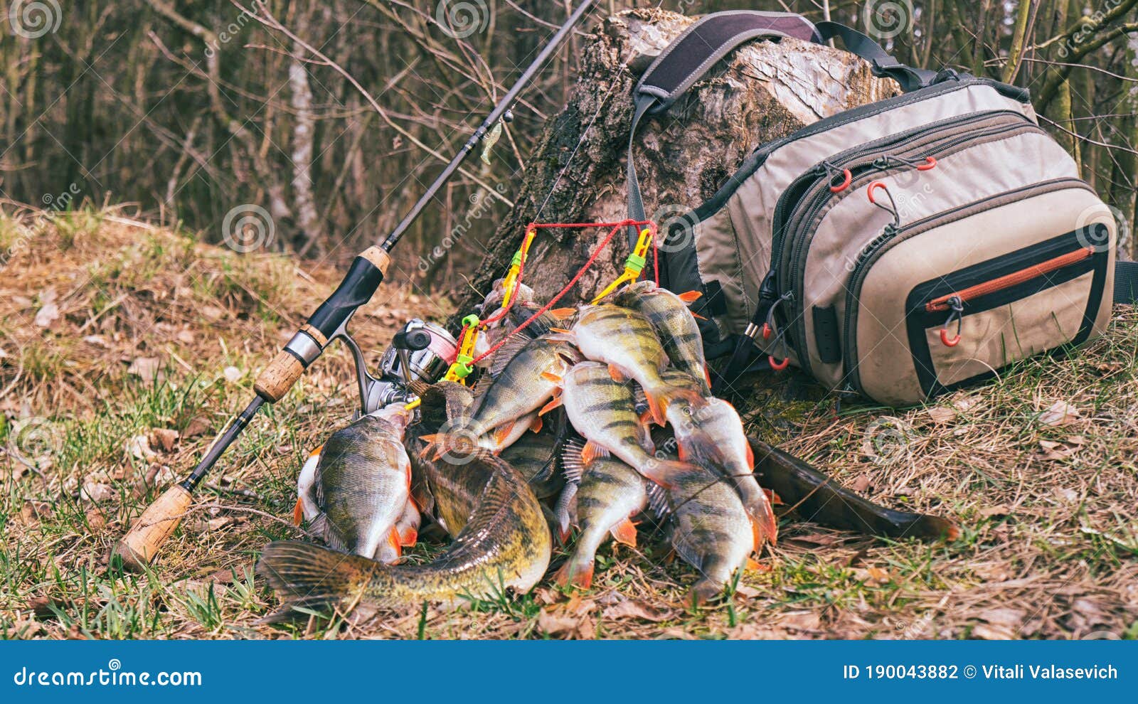 A good catch of fish stock photo. Image of natural, fresh - 190043882