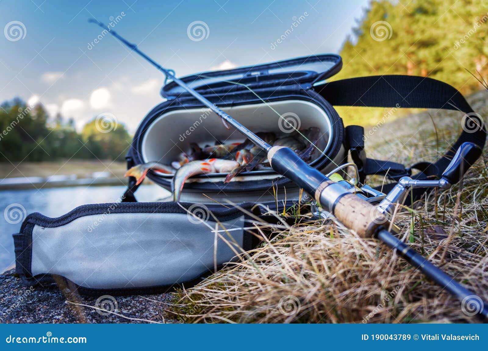 Good Catch on a Fishing Trip Stock Image - Image of holiday, fisherman ...