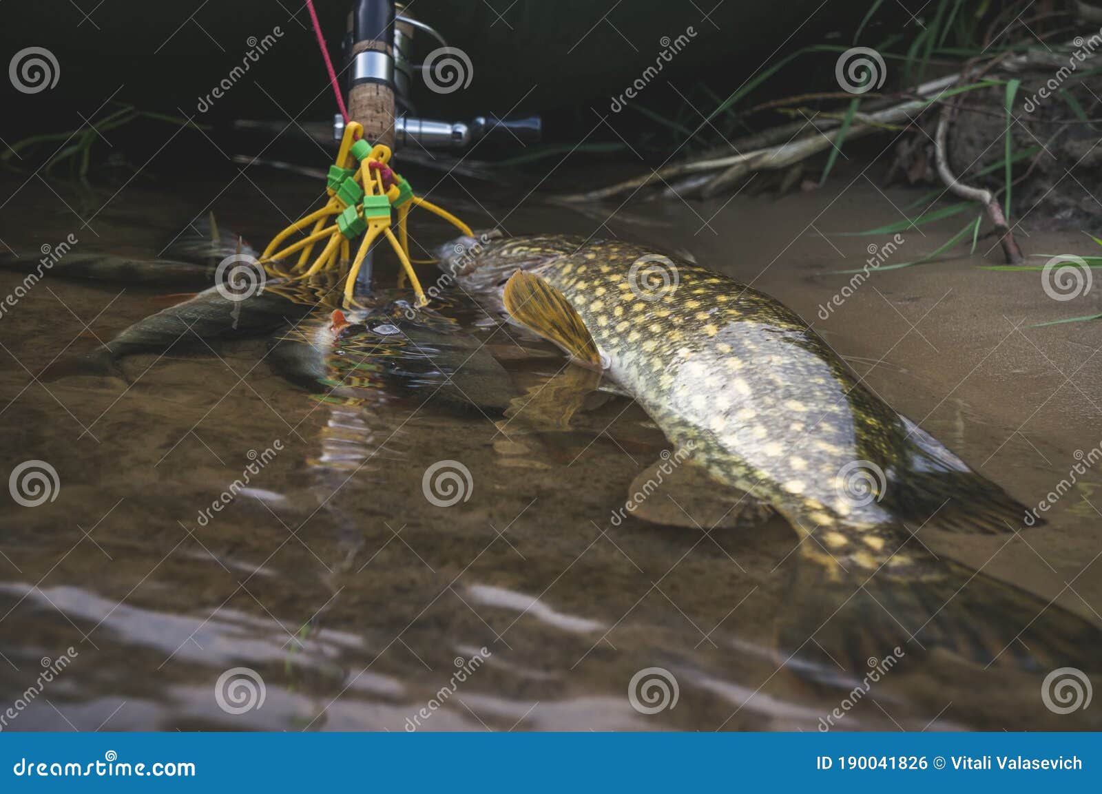 Good Catch. Bearded Men Fishing. Family Day. Lucky And Skilled ...