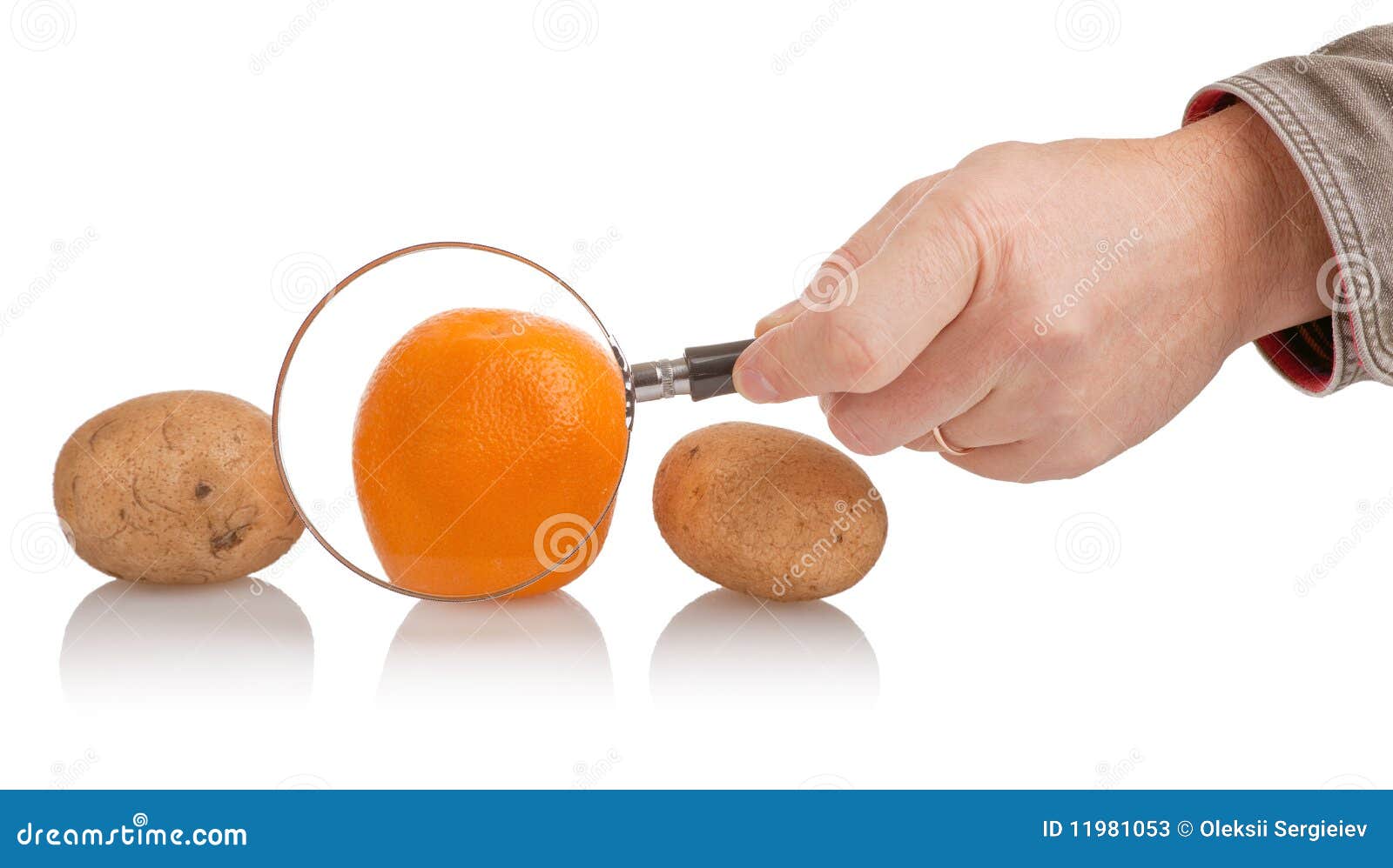 Good choice stock image. Image of eating, juicy, choosing - 11981053