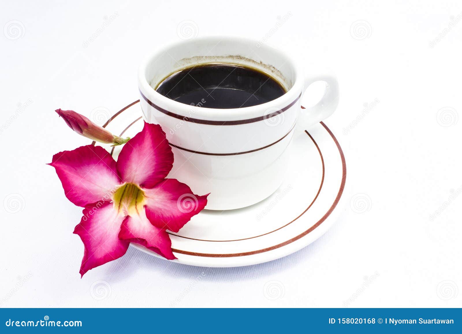 Premium coffee with flower stock photo. Image of cappuccino - 158020168