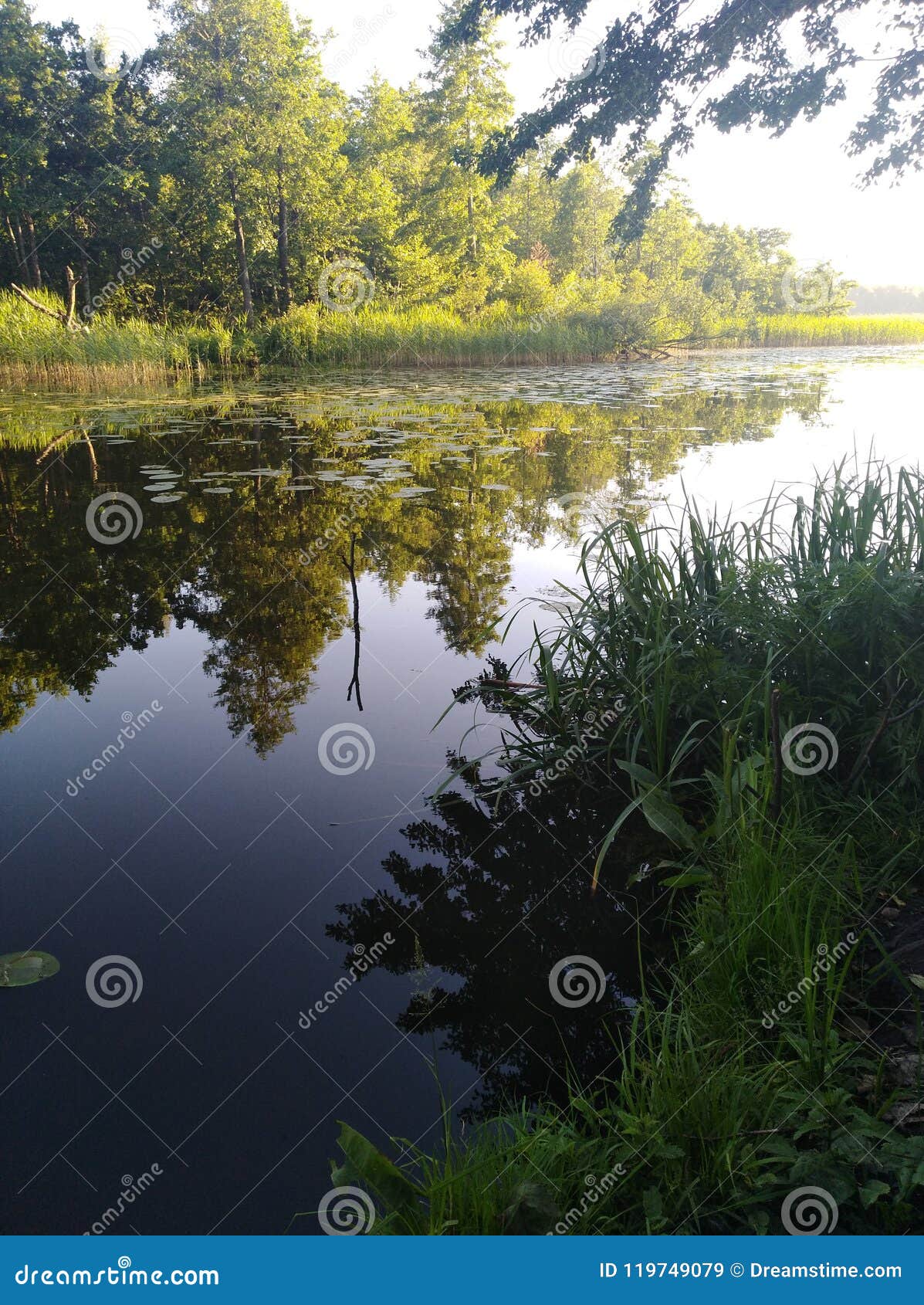 Nature stock image. Image of lake, beautiful, good, silence - 119749079
