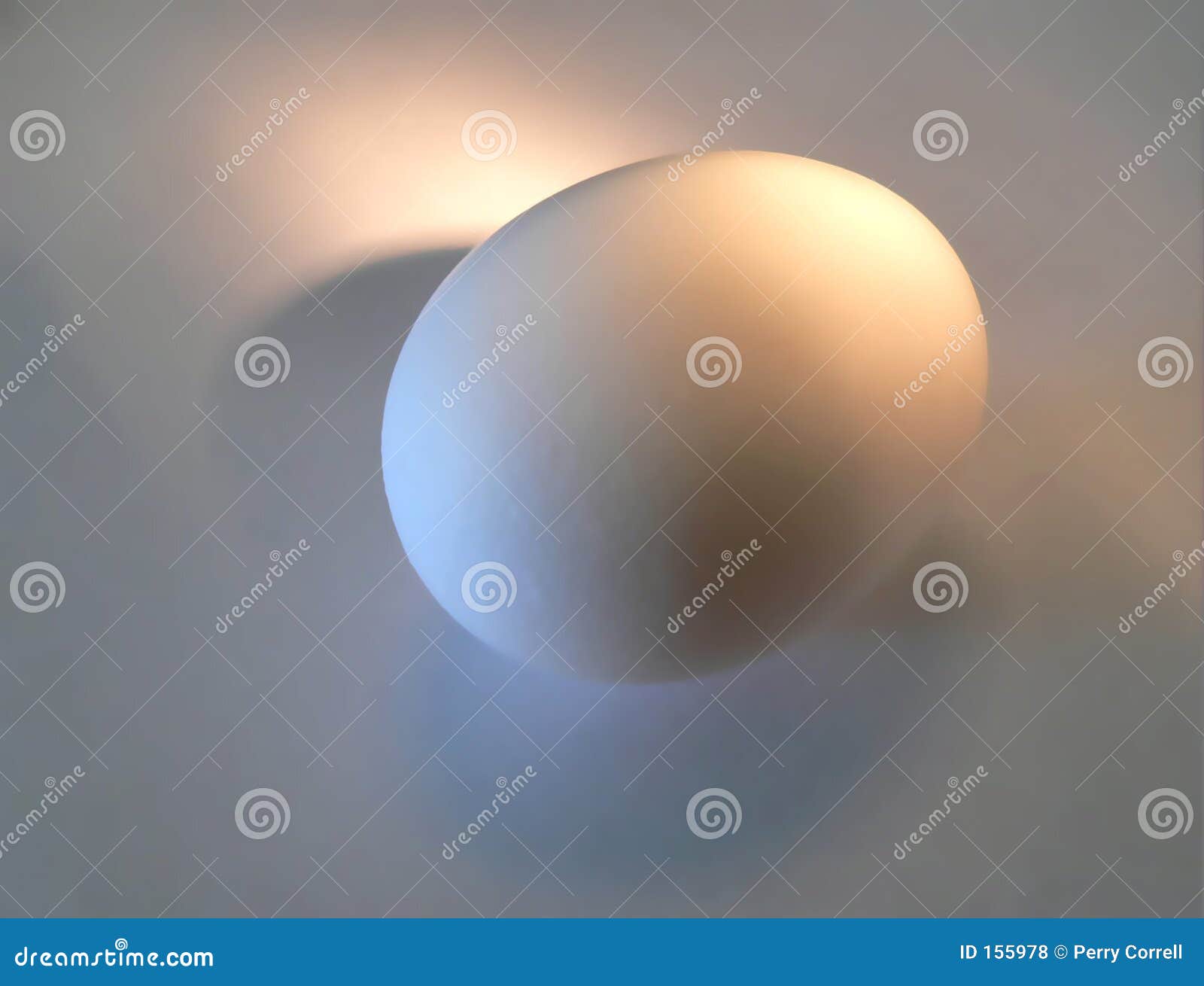 Good Egg stock photo. Image of single, birth, alone, fresh - 155978