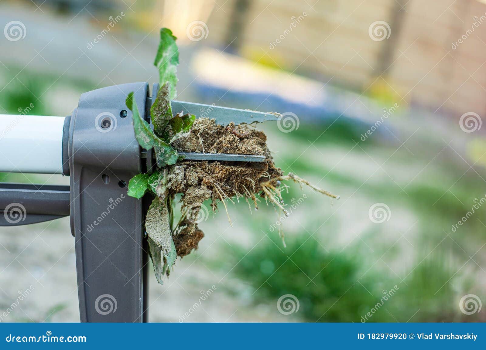 A Good Example of a Weed Removal Tool. Capture a Plant Along with a ...