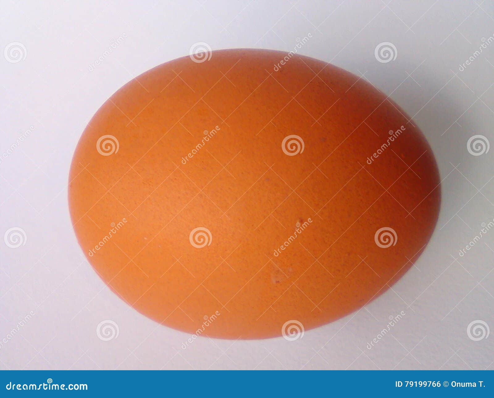 One egg stock illustration. Illustration of white, good - 79199766