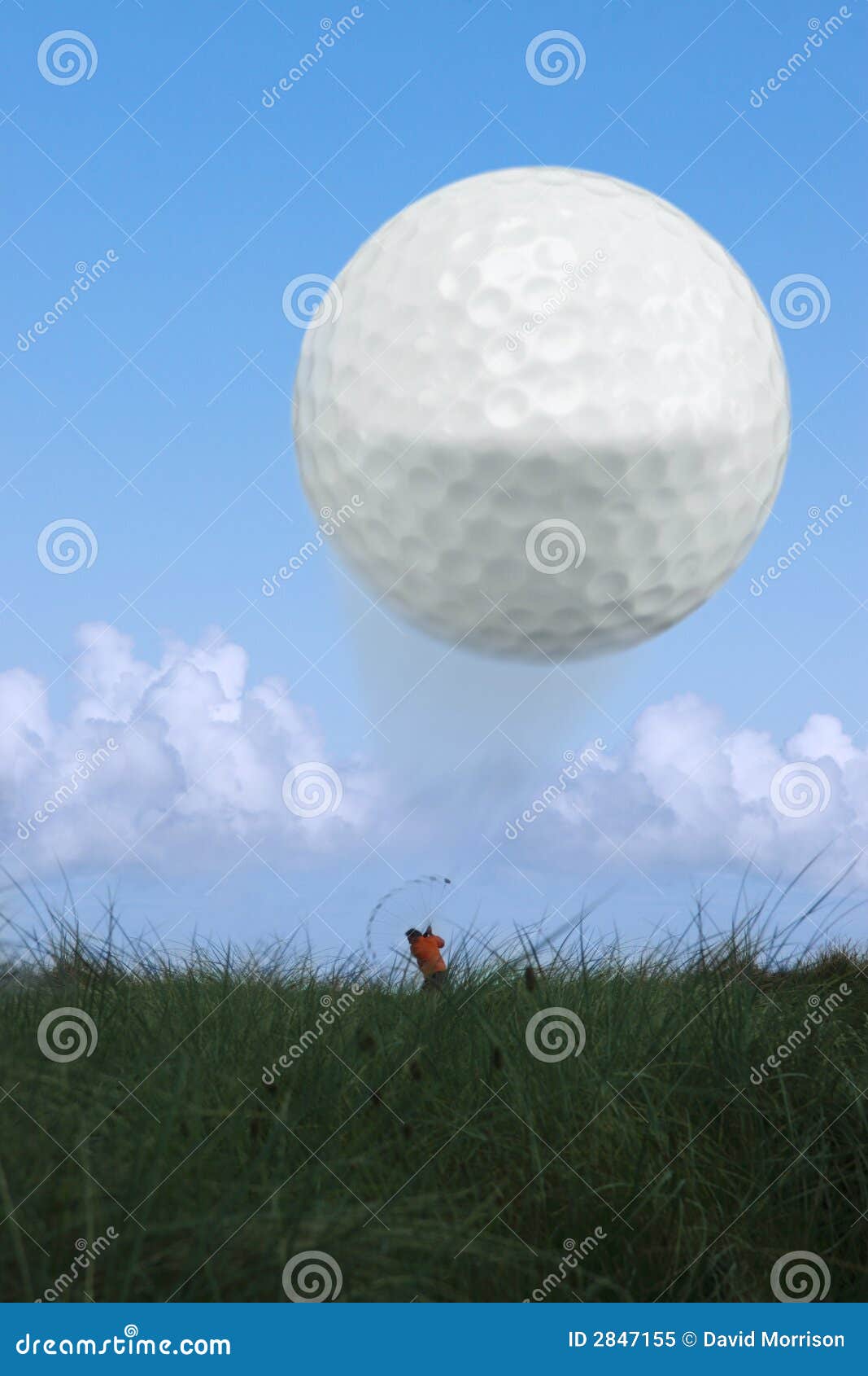 Golfer Fore Stock Photos - Free & Royalty-Free Stock Photos from Dreamstime