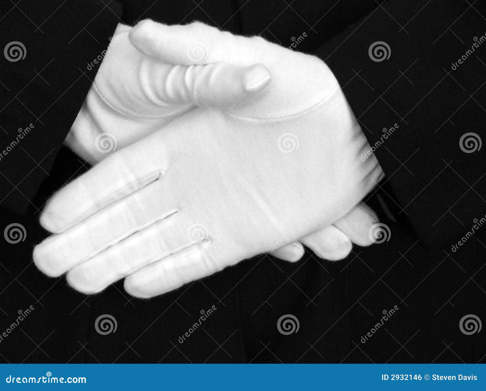 In Good Hands stock photo. Image of military, whitegloves - 2932146