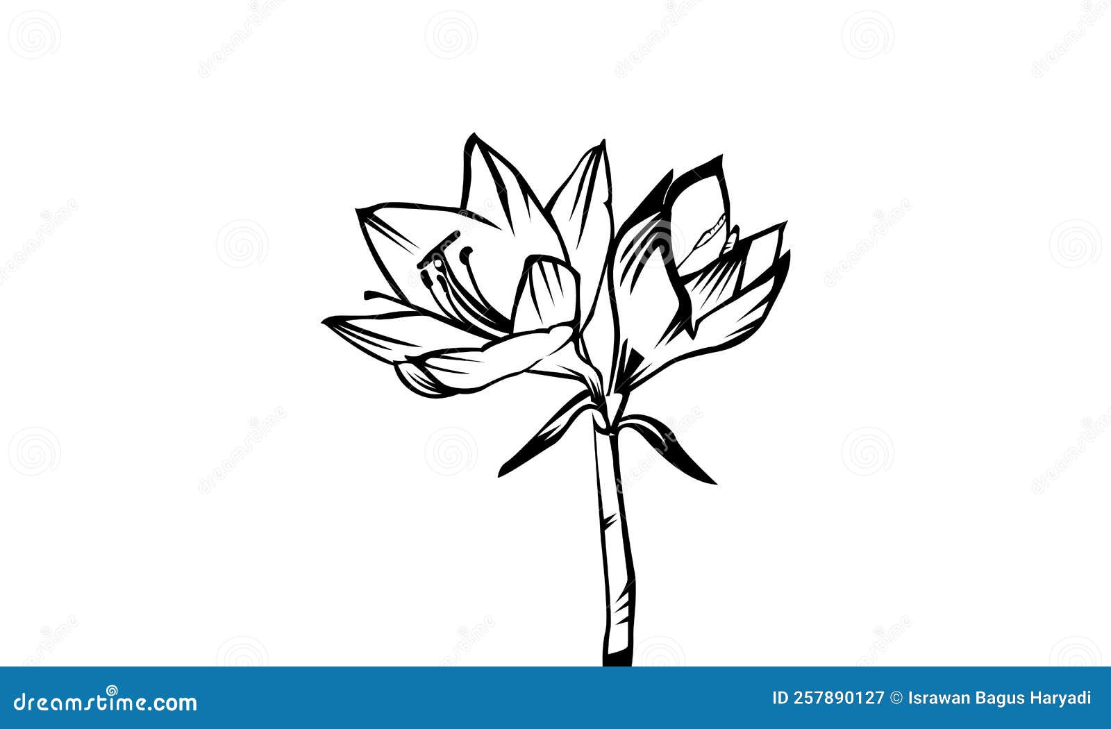 Unique Lily Flower Silhouette Vector Stock Vector - Illustration of ...