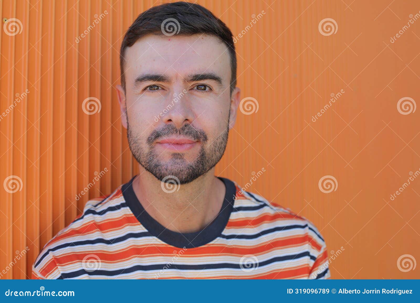Good Looking Man with a Beard Stock Image - Image of male, british ...