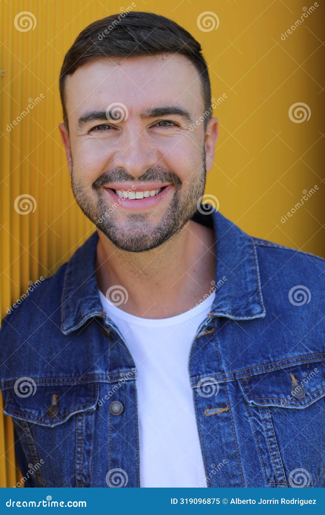 Good Looking Man with a Beard Stock Image - Image of german, confident ...