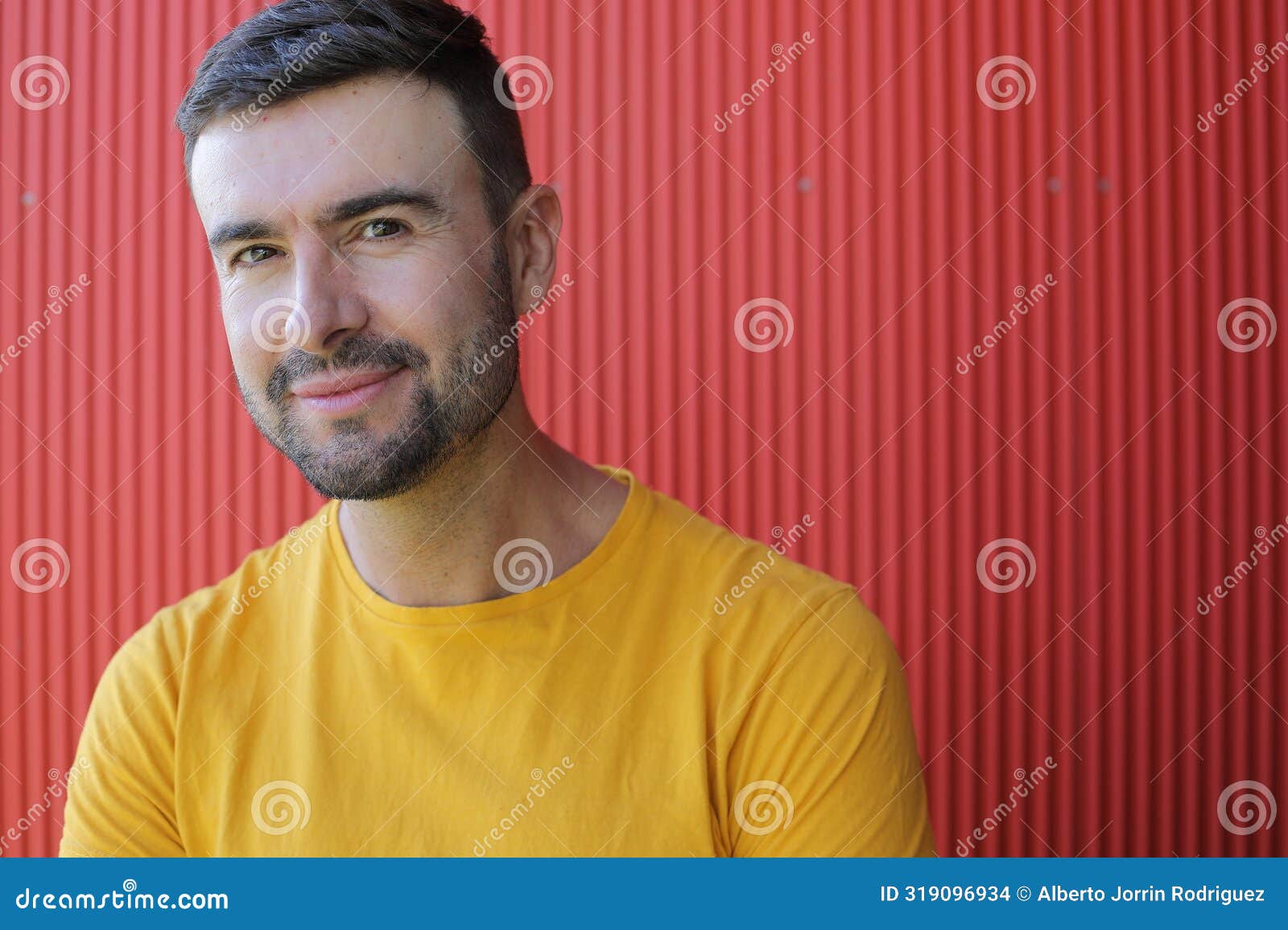 Good Looking Man with a Beard Stock Photo - Image of brazilian ...