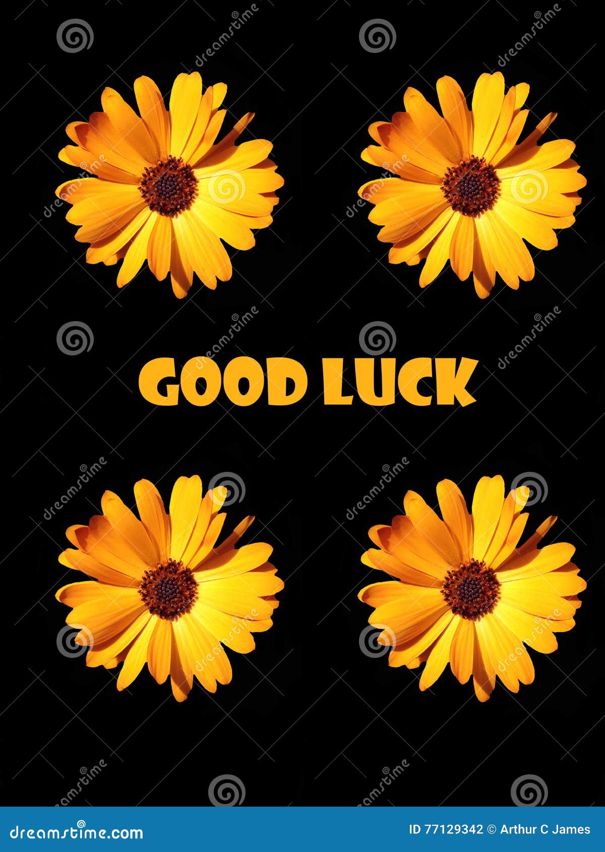 Good luck stock illustration. Illustration of colourfull - 77129342