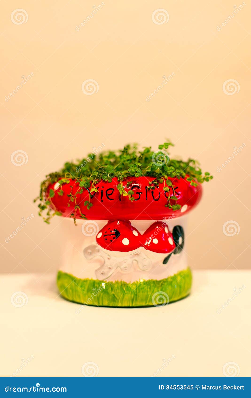 Good luck flower pot stock image. Image of idea, concept - 84553545