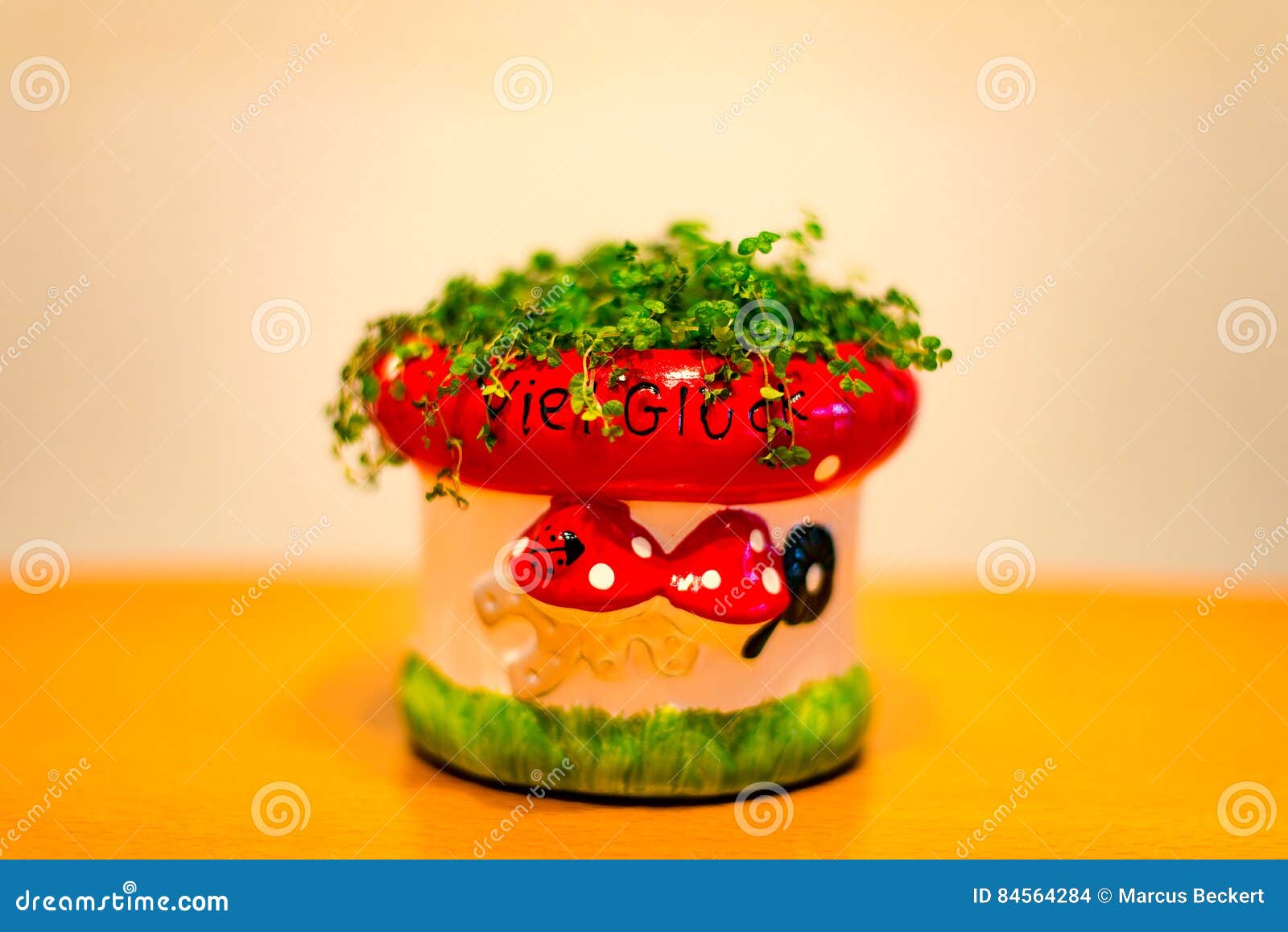 Good luck flower pot stock photo. Image of element, luck - 84564284