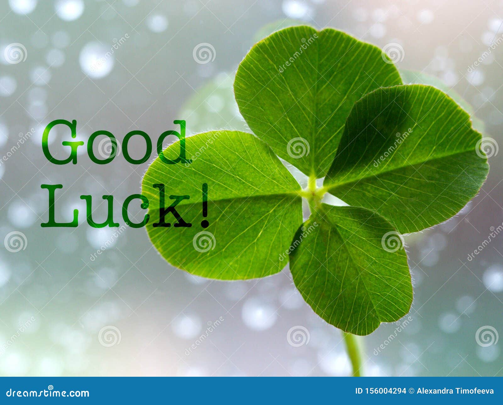 Good Luck - Inspirational Motivation Quote Stock Photo - Image of happy ... Good Luck - Inspirational Motivation Quote Stock Photo - Image of happy ...