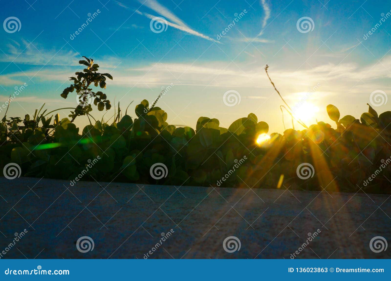 Good luck stock image. Image of sundown, good, shamrock - 136023863