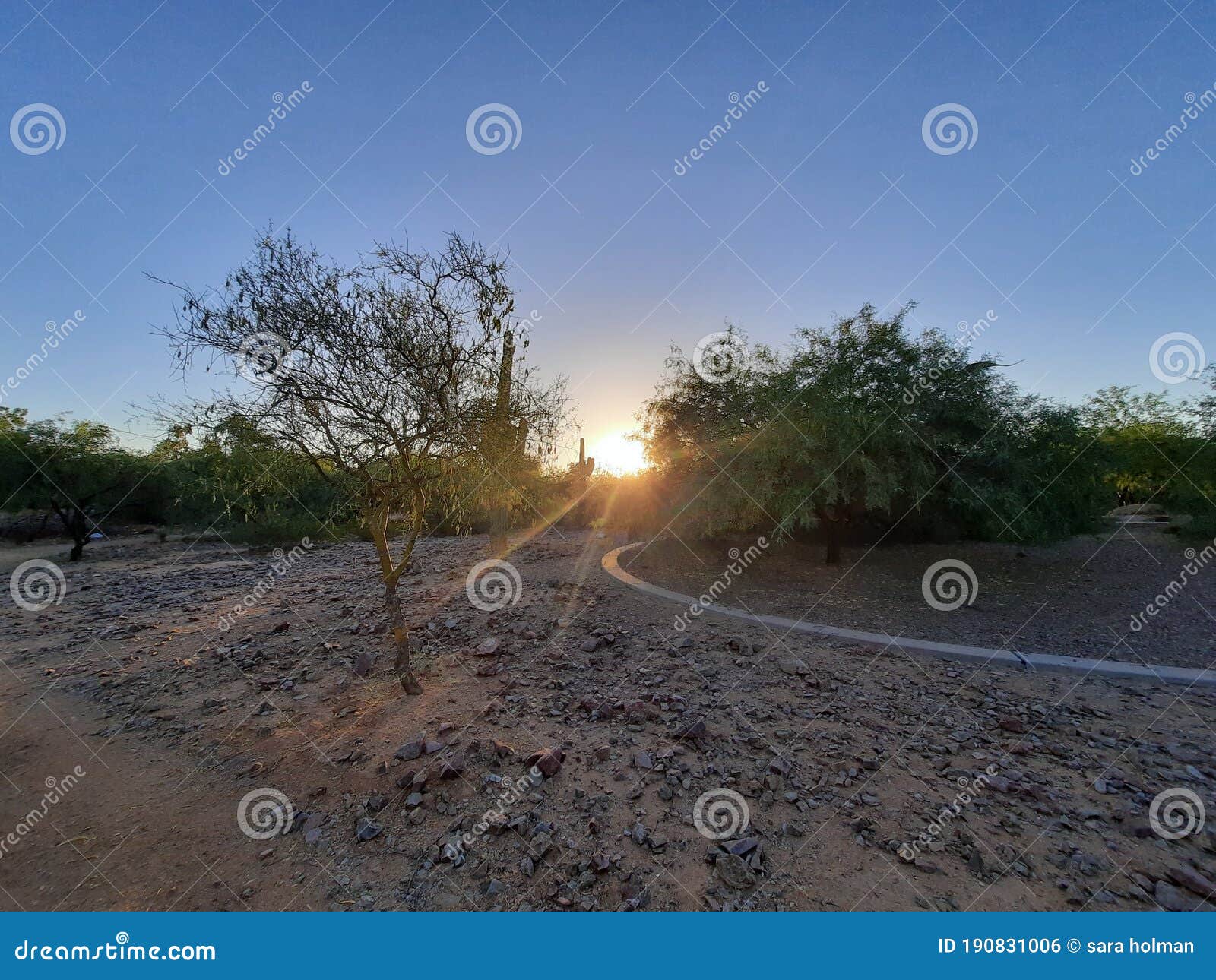 Good morning AZ stock photo. Image of autumn, grass - 190831006
