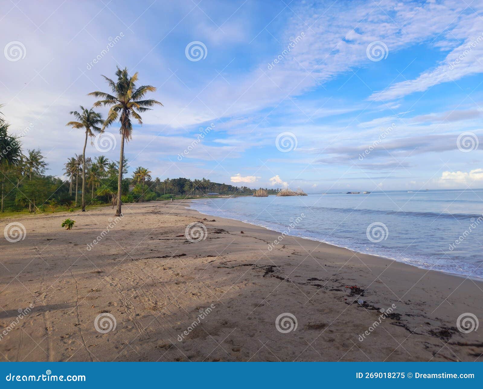 Good morning beach stock image. Image of tree, horizon - 269018275