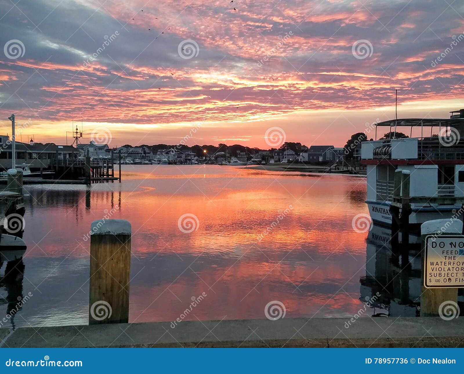 Good morning Cape Cod editorial photo. Image of cape - 78957736