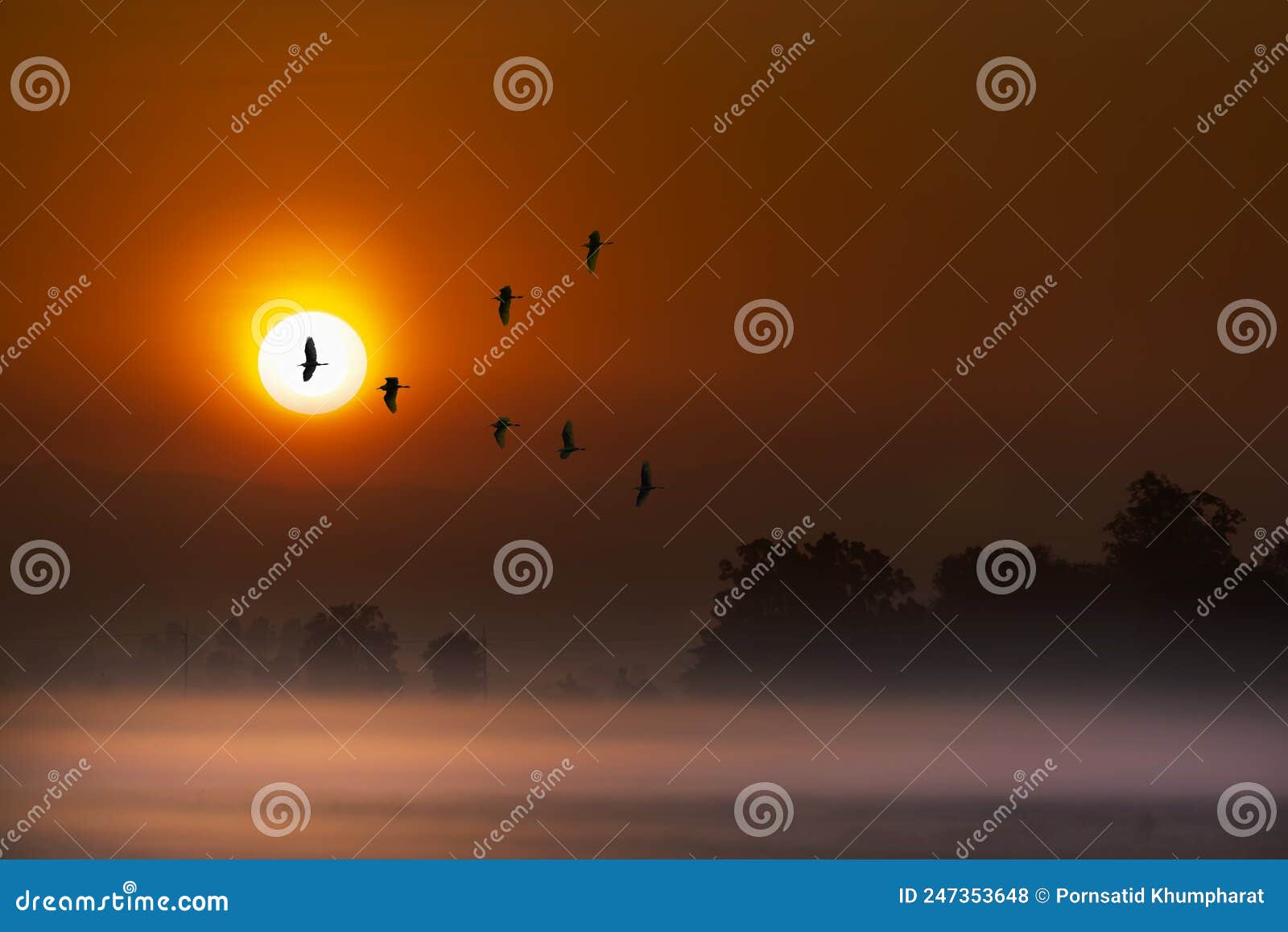 Good Morning, Flock of Birds Flying through the Scenery in Front of the ...