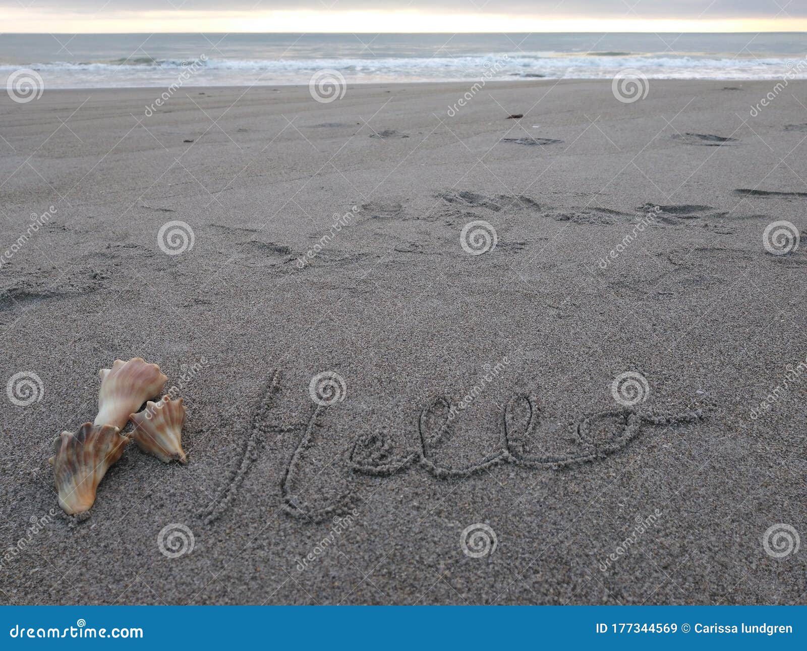 Good Morning Florida Sunrise Shells Ocean Sand Stock Image - Image of ...